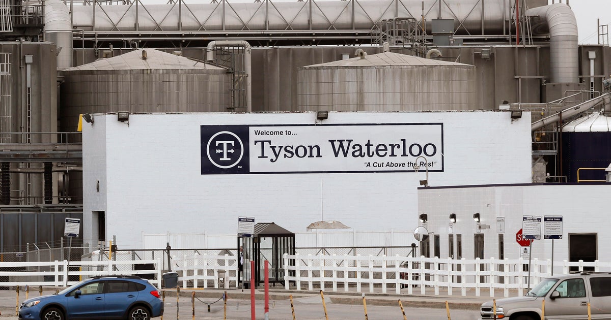 Fired Tyson manager defends COVID-19 bets as morale booster - CBS News