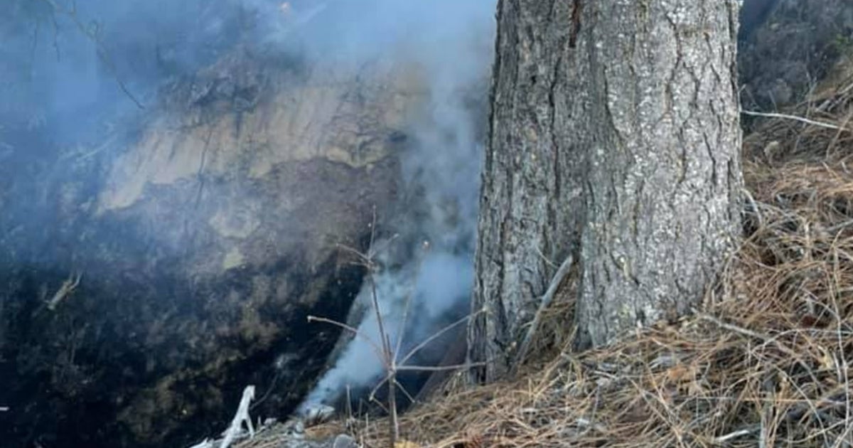 On Windy And Dry January Morning, Cal Fire Battles Wildfire In Amador ...