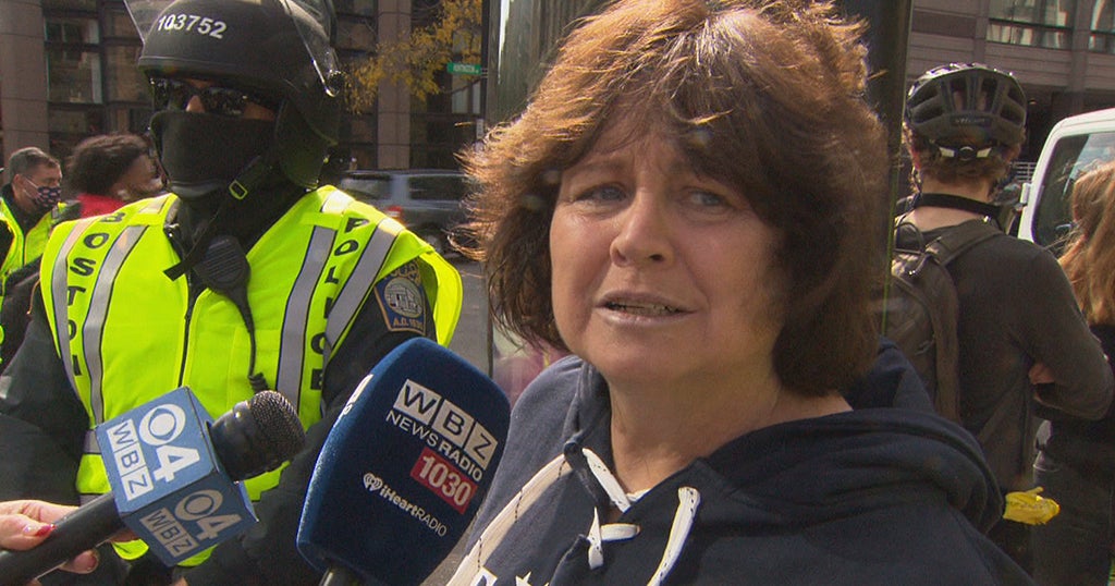 Ex-Natick official Suzanne Ianni gets 15 days for role in Jan. 6 riot ...