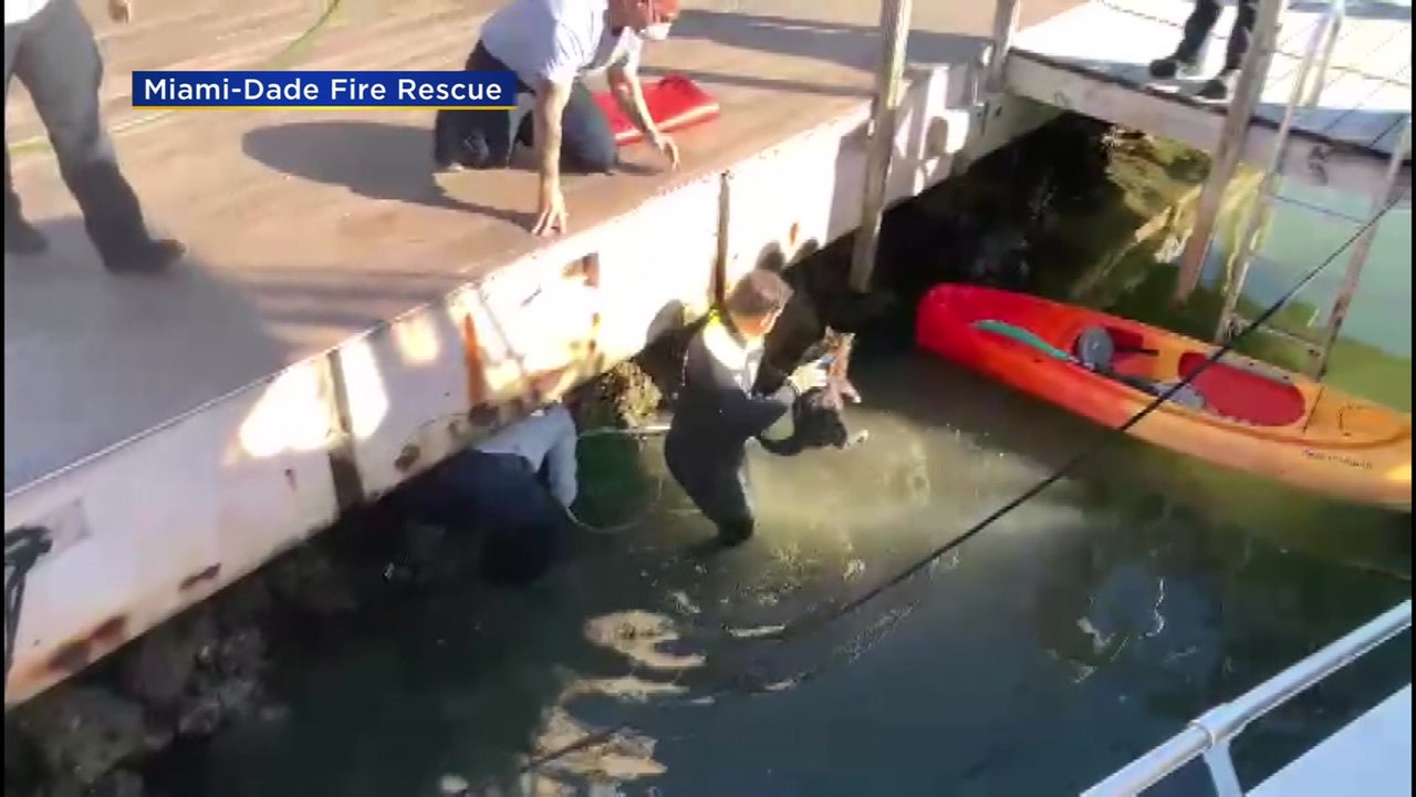 Stories About Miami-Dade Fire-Rescue - CBS Miami