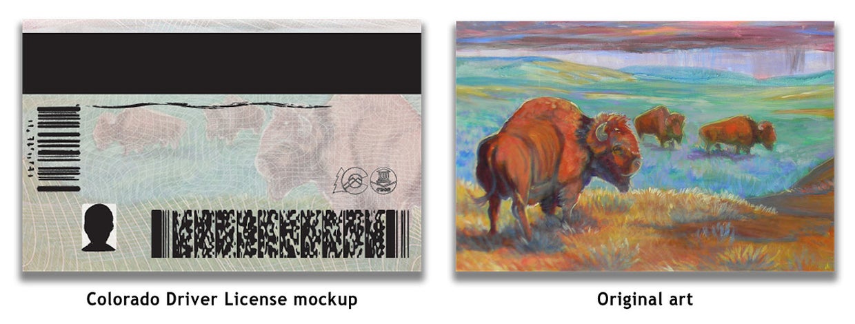 Vote For Your Favorite Design In The New Iconic Colorado Driver's ...