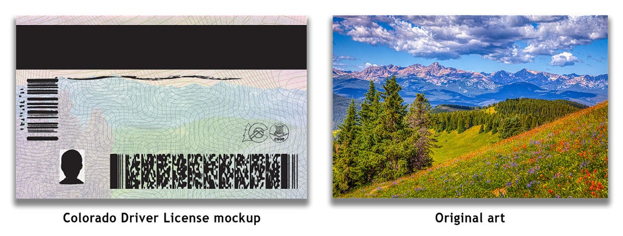 Vote For Your Favorite Design In The New Iconic Colorado Driver's ...