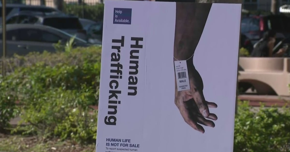 BSO's Operation Breaking Chains Leads To Human Trafficking Arrest - CBS ...