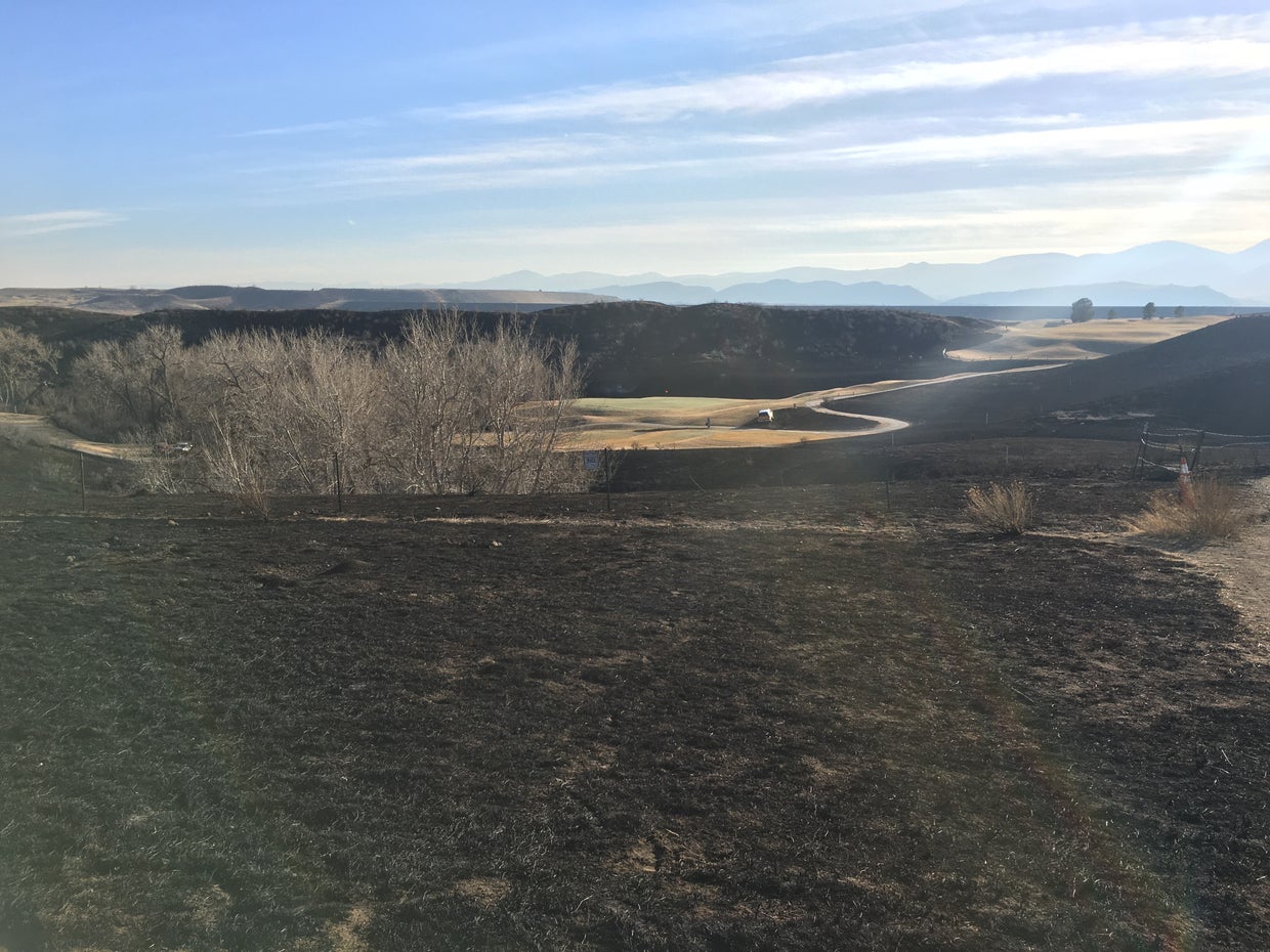 Cottonwoods Chopped Down After More Than 500 Acres Burned In Morrison ...