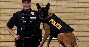 Golden Police K9 Helps Track Down Burglary Suspect Robert Carl Peltier ...
