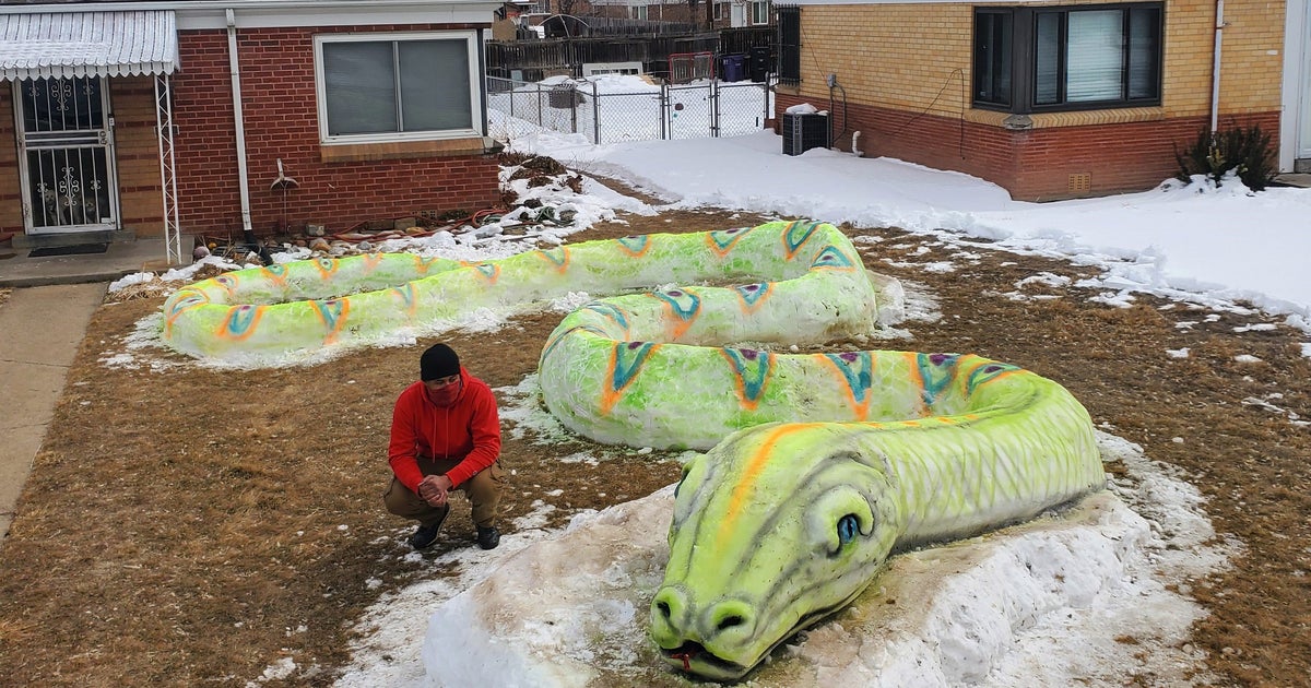 Snow Snake Slithers Into Denver Front Yard - CBS Colorado