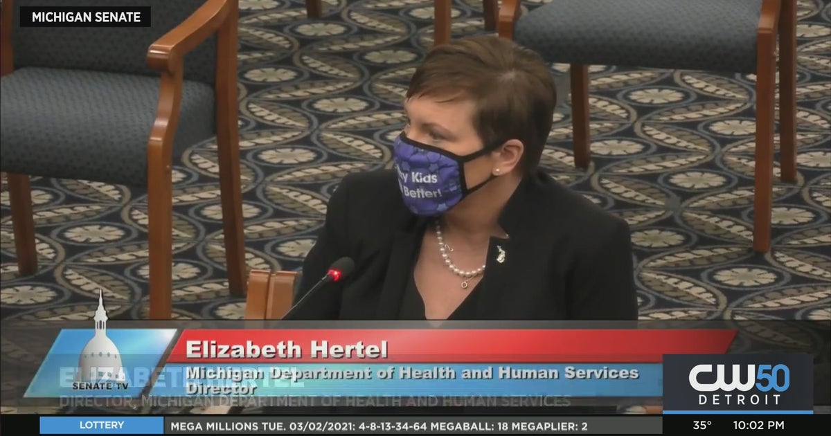 Elizabeth Hertel, MDHHS Director, Testified In Senate Committee About ...