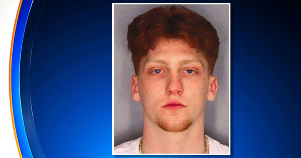 Brooklyn Teen Facing Rape Charges In Alleged Attack At Mount Saint Mary ...