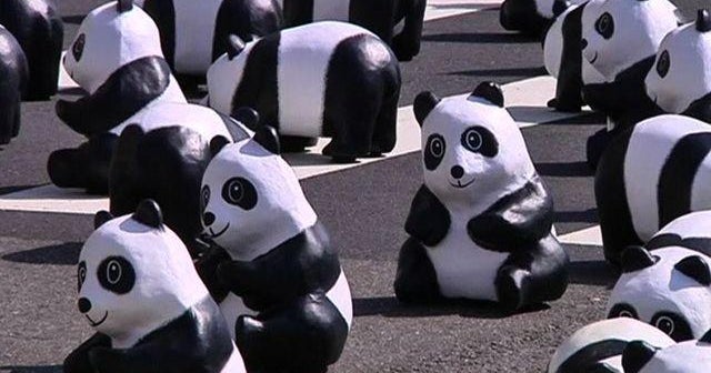 Art installation puts 1,600 paper pandas on display in Taiwan - CBS News