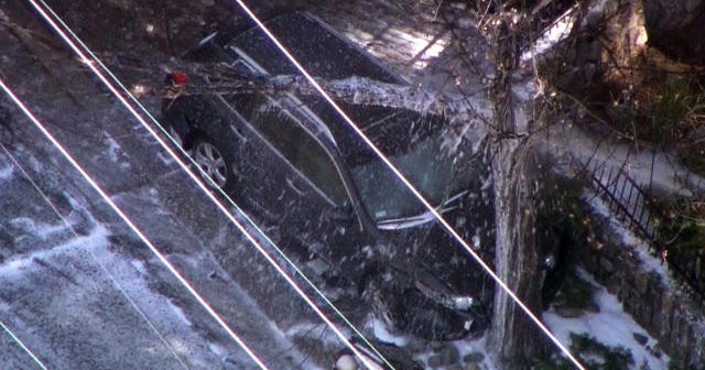 Watch: Firefighters respond to bee attack - CBS News