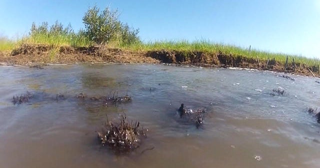 BP oil spill four years later - CBS News