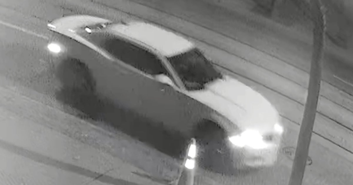 Police Release Photo Of Suspect's Car In Fatal Hit-And-Run Of Jasmine ...