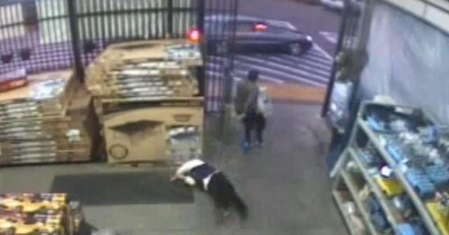 Walmart employee, 78, faces store thief - CBS News