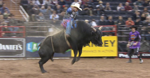 Professional bull riding hits NYC - CBS News