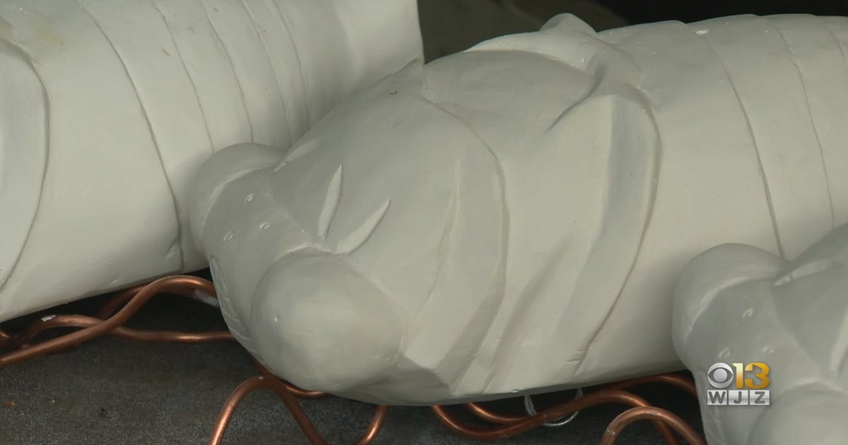 The Cicadas Are Coming! Maryland Artist Celebrates Their Arrival With ...