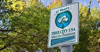DNR Announces Annual Tree City USA Honorees - CBS Detroit
