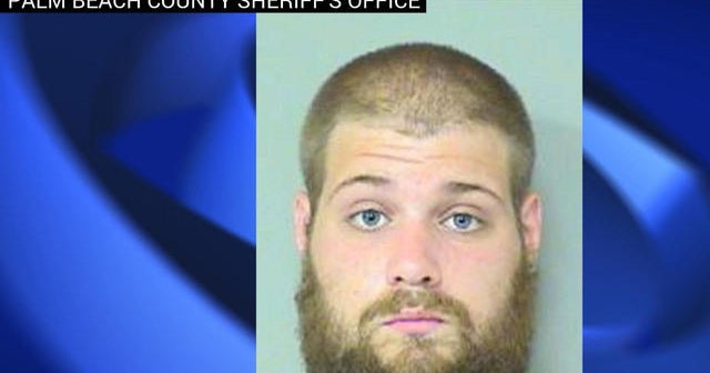 Landscaper arrested after allegedly running over ducklings - CBS News