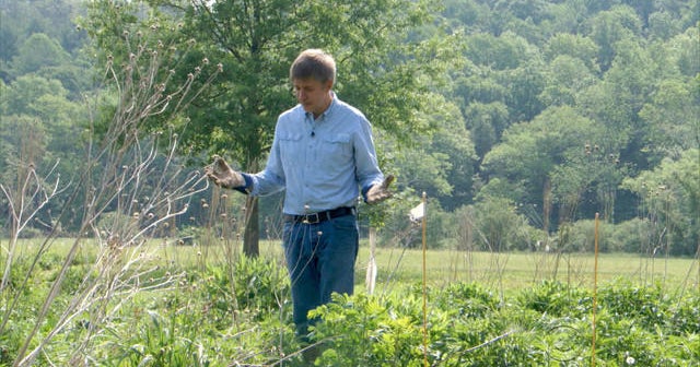 Steve Hartman confesses to "weed" addiction - CBS News