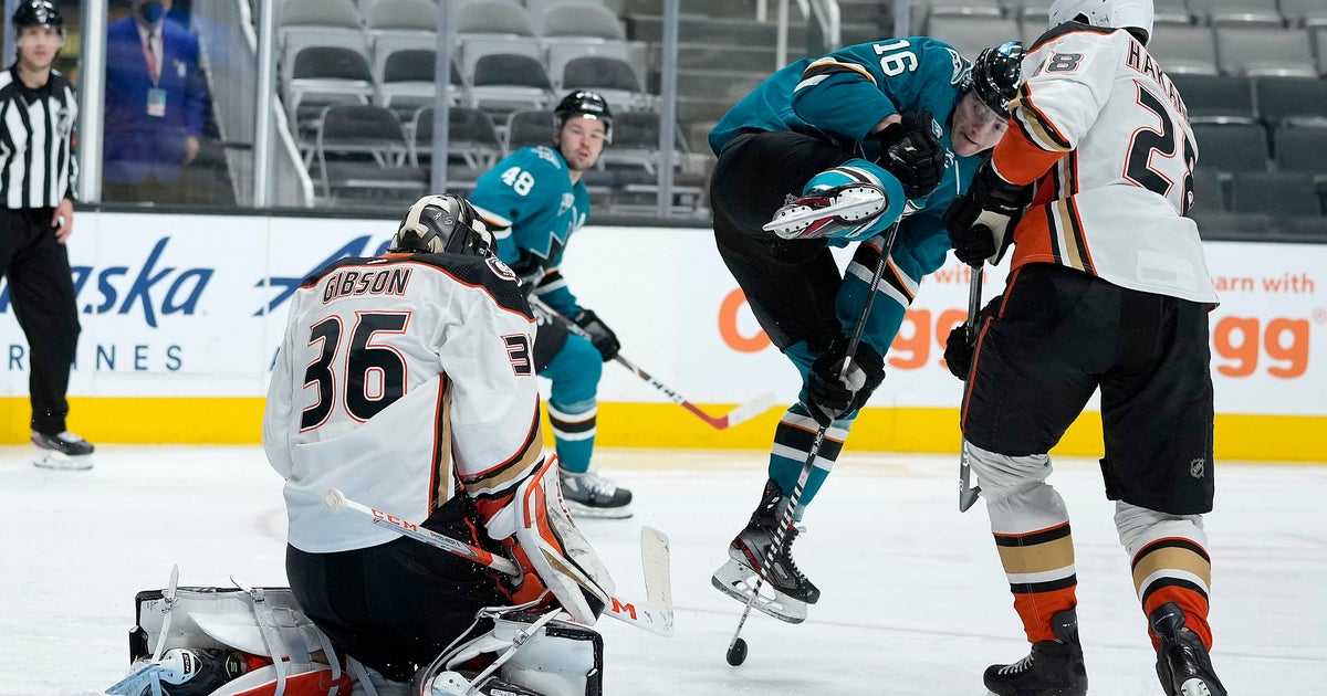 Gibson Makes 34 Saves As Ducks Beat Sharks, 5-1 - CBS San Francisco