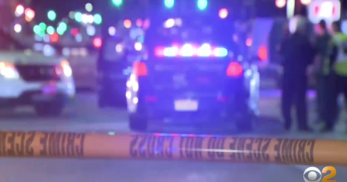 30-Year-Old Man And His Dog Struck And Killed Crossing Street In ...