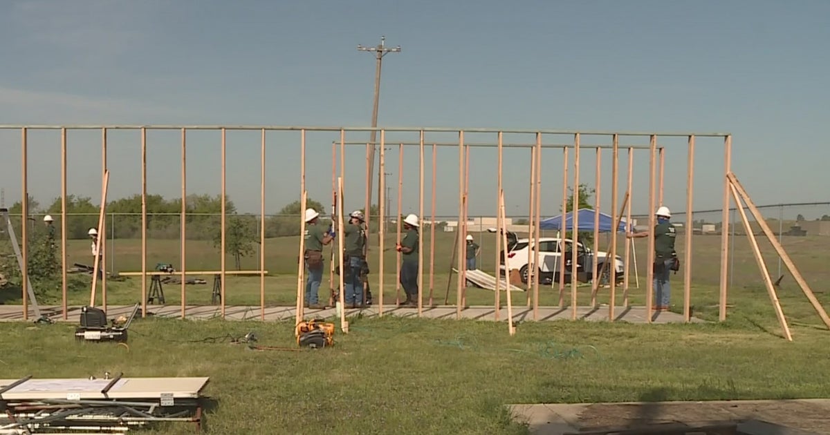 Public Donations Help Animal Rescue Group Rebuild Damaged Aviary Flight ...