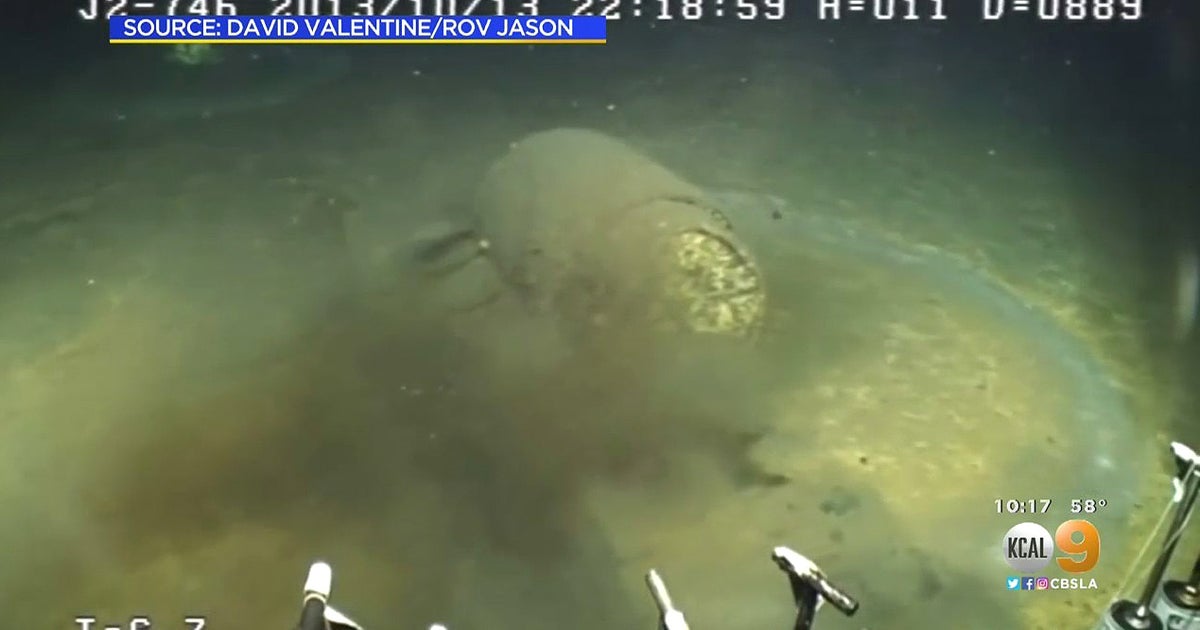 'Overwhelming': Scientists Confirm Massive DDT Dumping Ground On Ocean ...