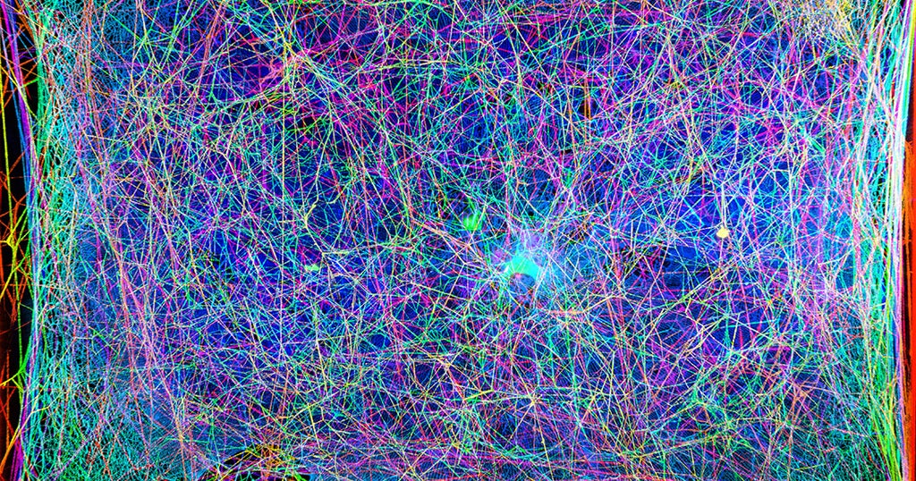 LISTEN: MIT Scientists Create Eerie Music By Turning Spider Webs Into ...