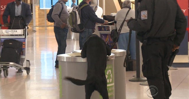 TSA to ramp up random searches at airports - CBS News