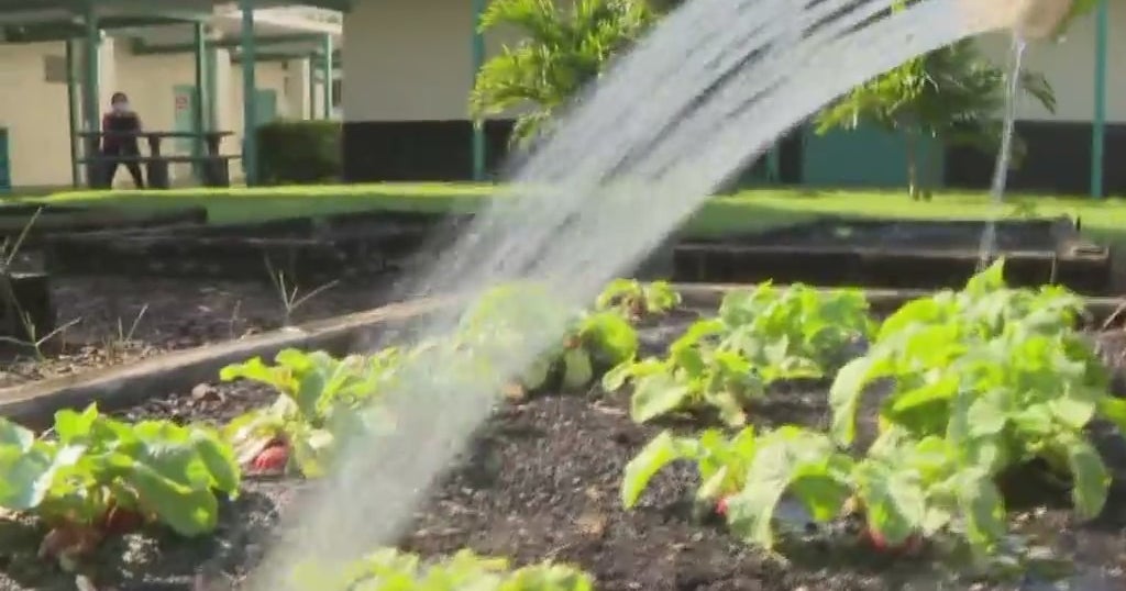 Earth Day: Driftwood Middle School 'Green Team' Immersed In ...