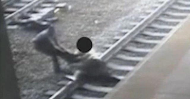 Caught on camera: NJ transit cop pulls man from train tracks - CBS News