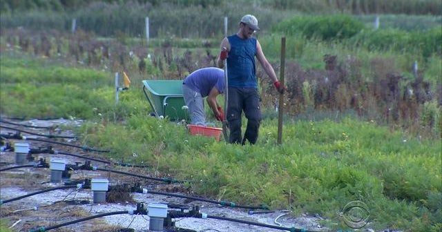 Creative climate change thinking in the Netherlands - CBS News