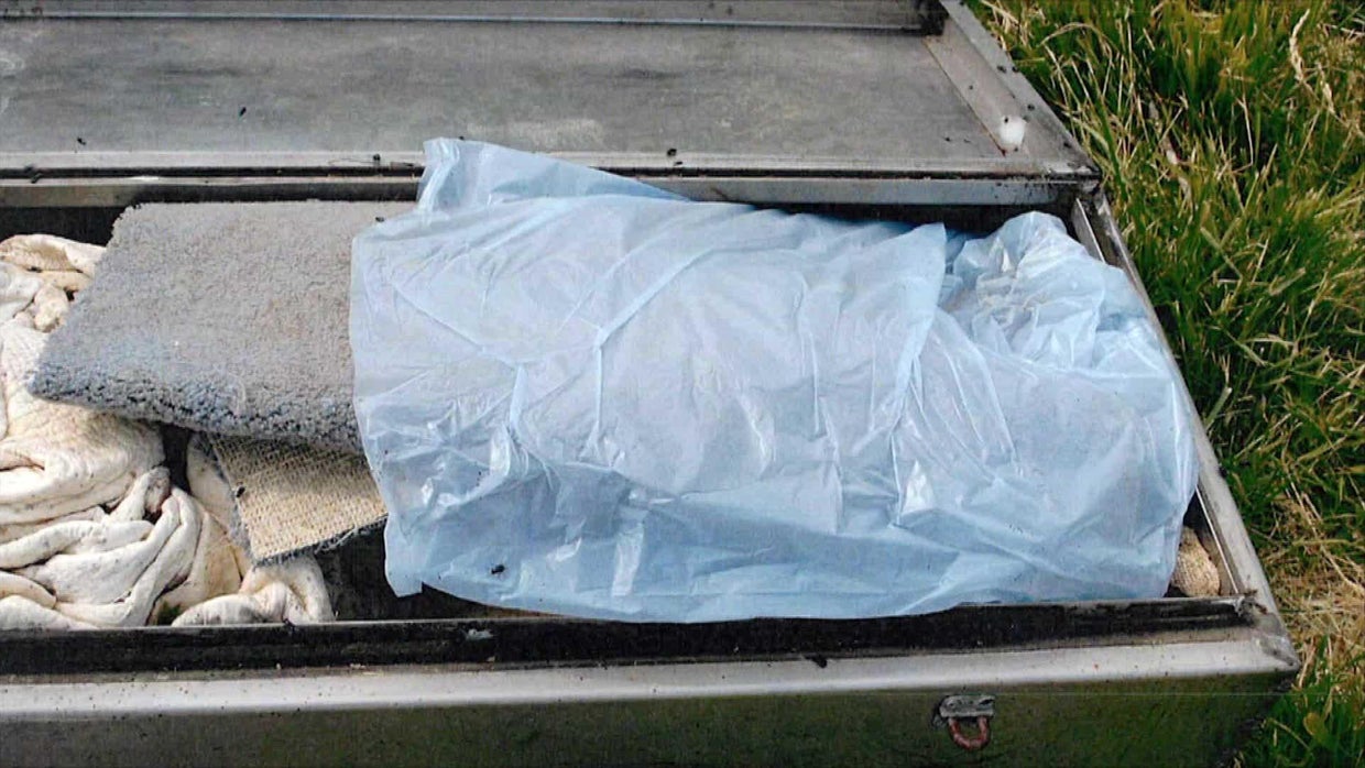 Answers to cowboy Ray Green's death lay inside toolbox found on ex-wife ...