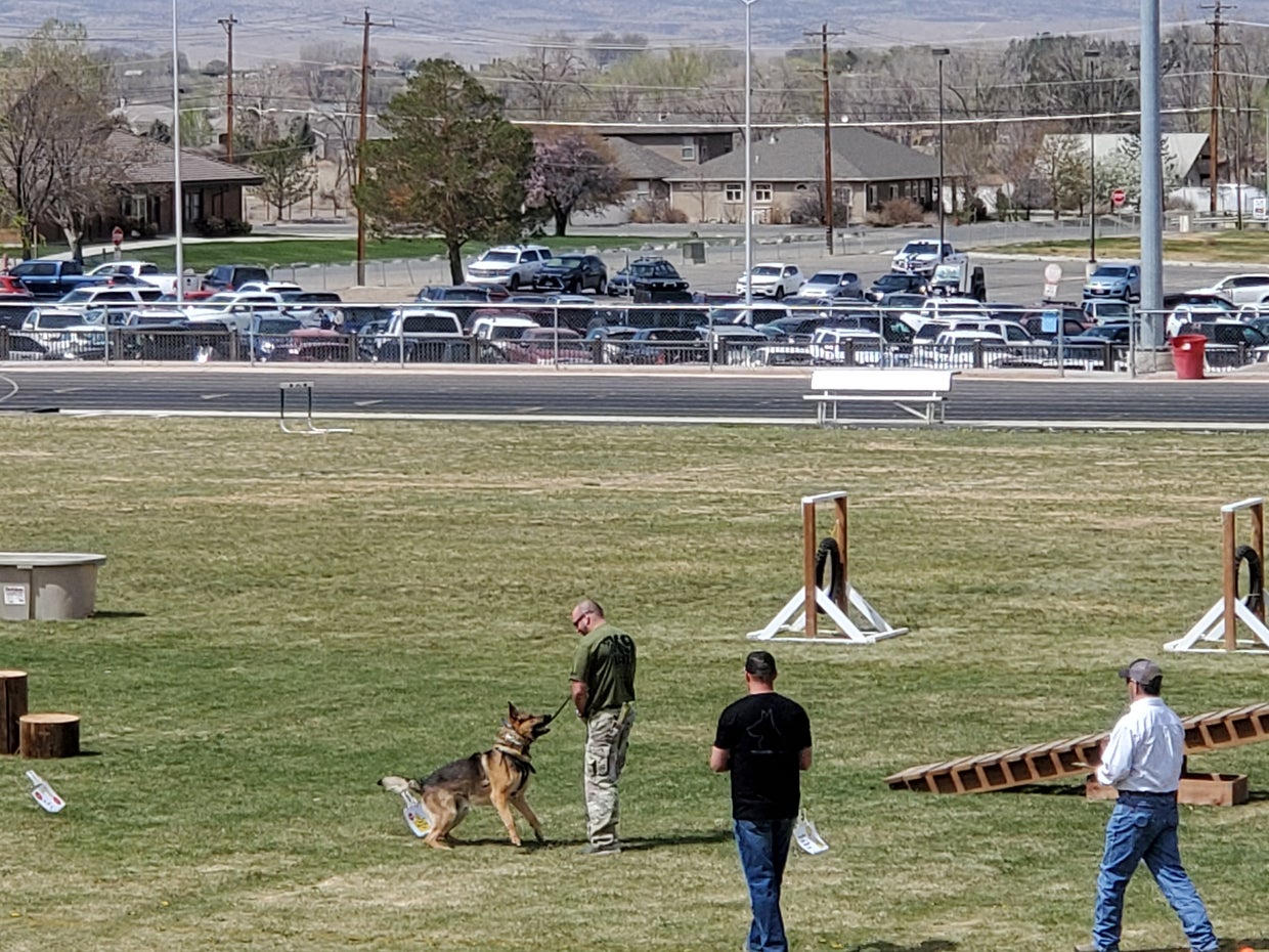 Police K9 Teams From Colorado, Utah & Wyoming Compete In Delta - CBS ...