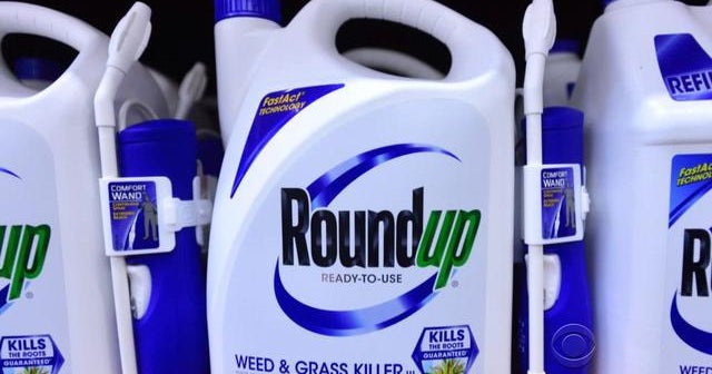 New court papers charge Monsanto manipulated data about safety of ...