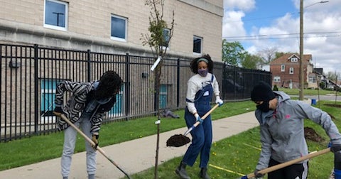 The Greening Of Detroit Plants 160 Trees In Detroit To Celebrate Arbor ...