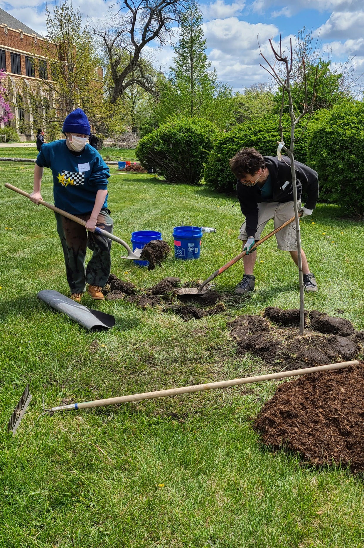 The Greening Of Detroit Plants 160 Trees In Detroit To Celebrate Arbor ...