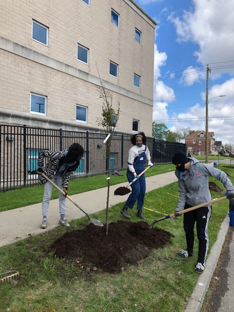 The Greening Of Detroit Plants 160 Trees In Detroit To Celebrate Arbor ...