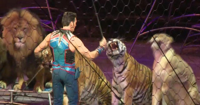 Ringling Bros. Circus takes final bow - CBS News