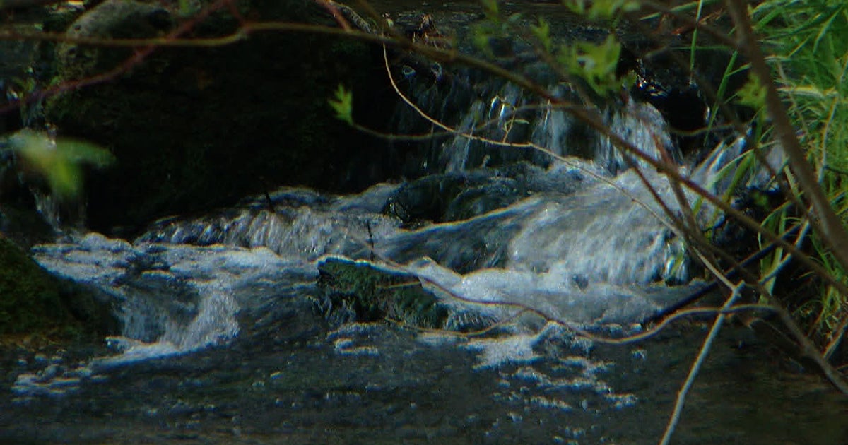 Residents Push Back Against Development Near Eden Prairie's Fredrick ...