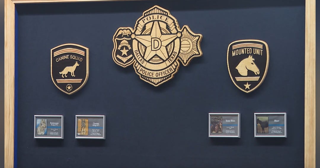 New Memorial Wall Honors Dallas K9 Officers, Mounted Horses That Died ...