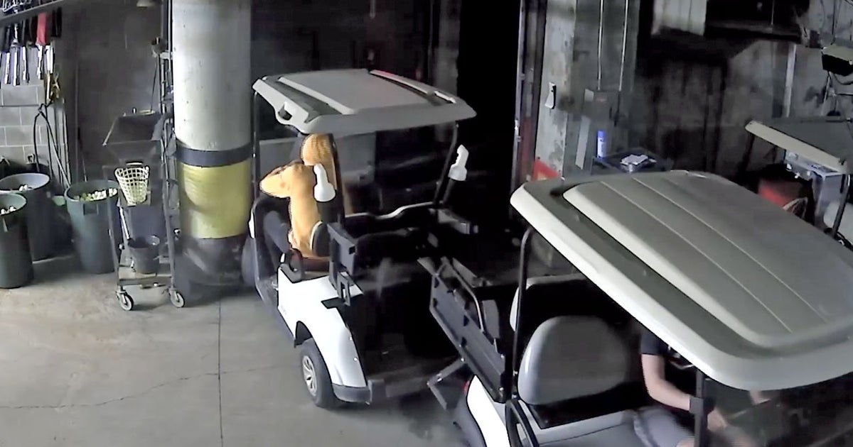 'So Casual', Fort Worth Police Seek Suspects Who Stole, Destroyed Golf ...