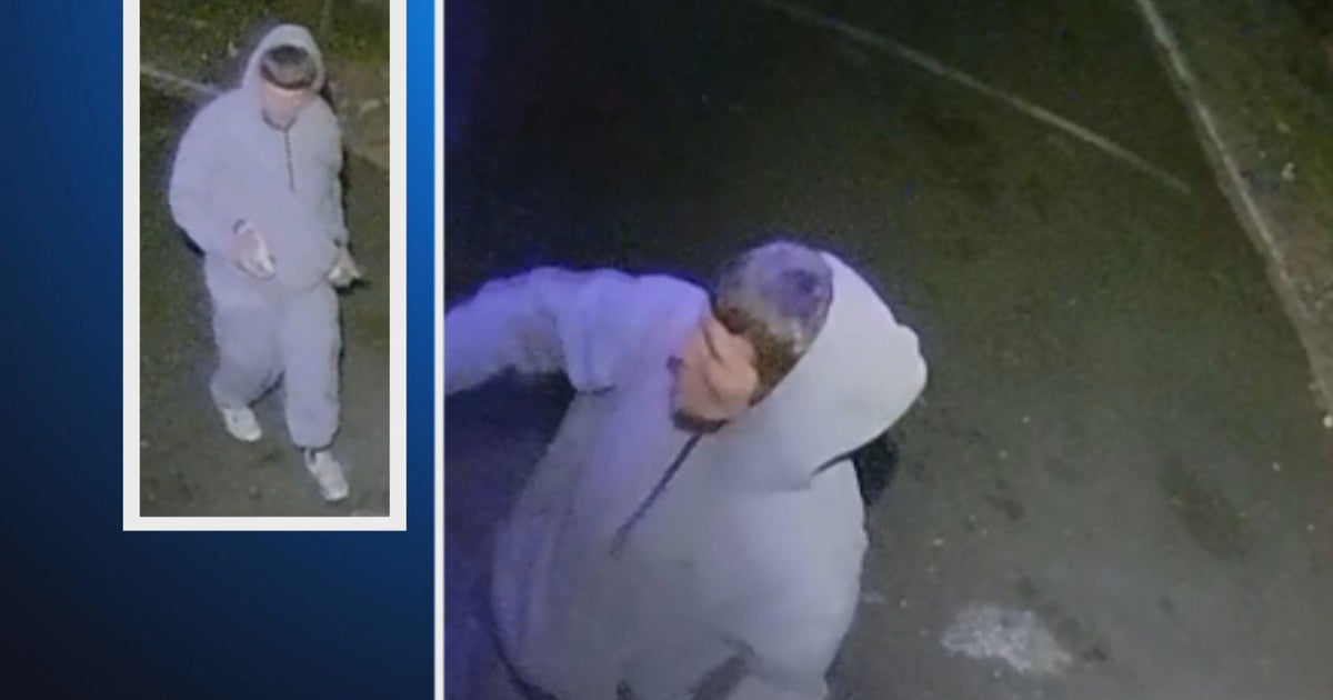 Police Searching For Suspect Who Spray-Painted Hateful Vandalism At The ...