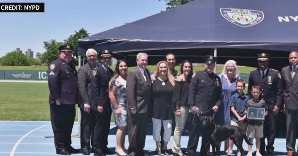 10 New Police Dogs Graduate From NYPD Training - CBS New York