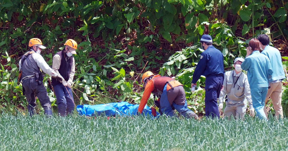 Rampaging bear in Japan injures 4, disrupts flights before being shot ...