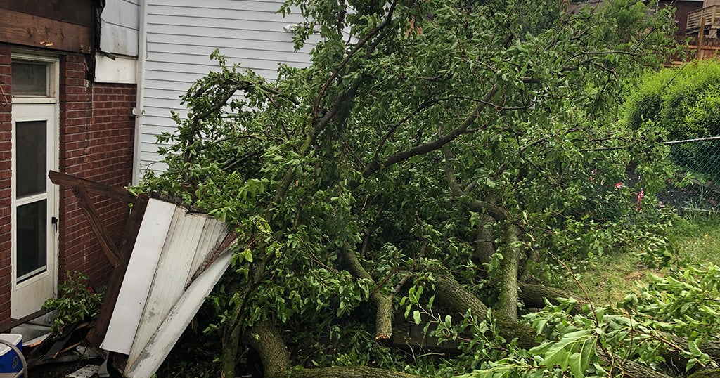 Tree Falls Onto Home In Carrick Neighborhood - CBS Pittsburgh