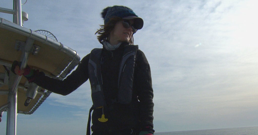 Women In Science: Megan Winton Is 1st Staff Scientist Hired By Atlantic ...