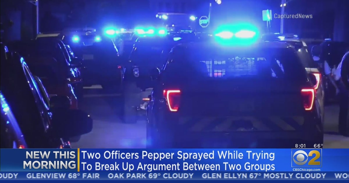 Two Chicago Police Officers Pepper Sprayed While Trying To Break Up