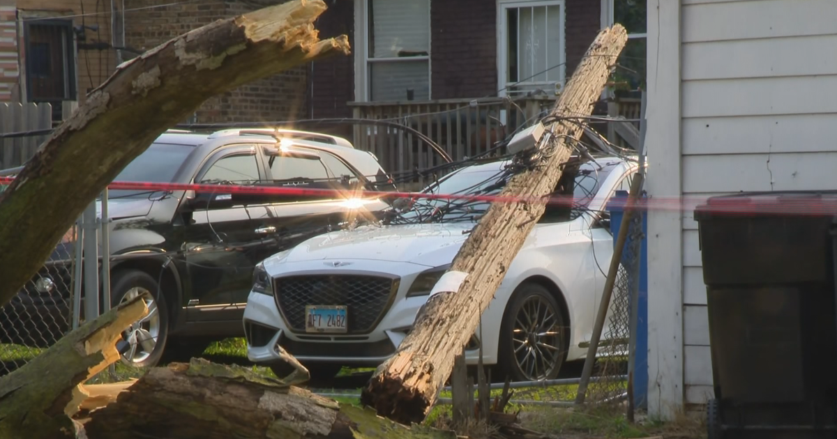 Chicago Weather: Cleanup Underway Across City And Suburbs After ...