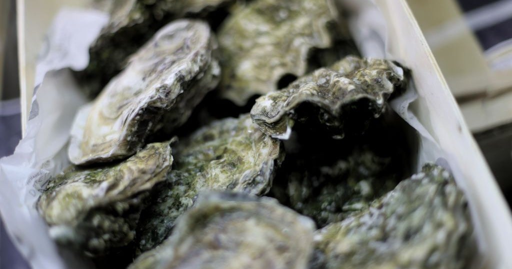 Sewage Spill Prompts Emergency Closure Of Shellfish Harvesting In Part ...