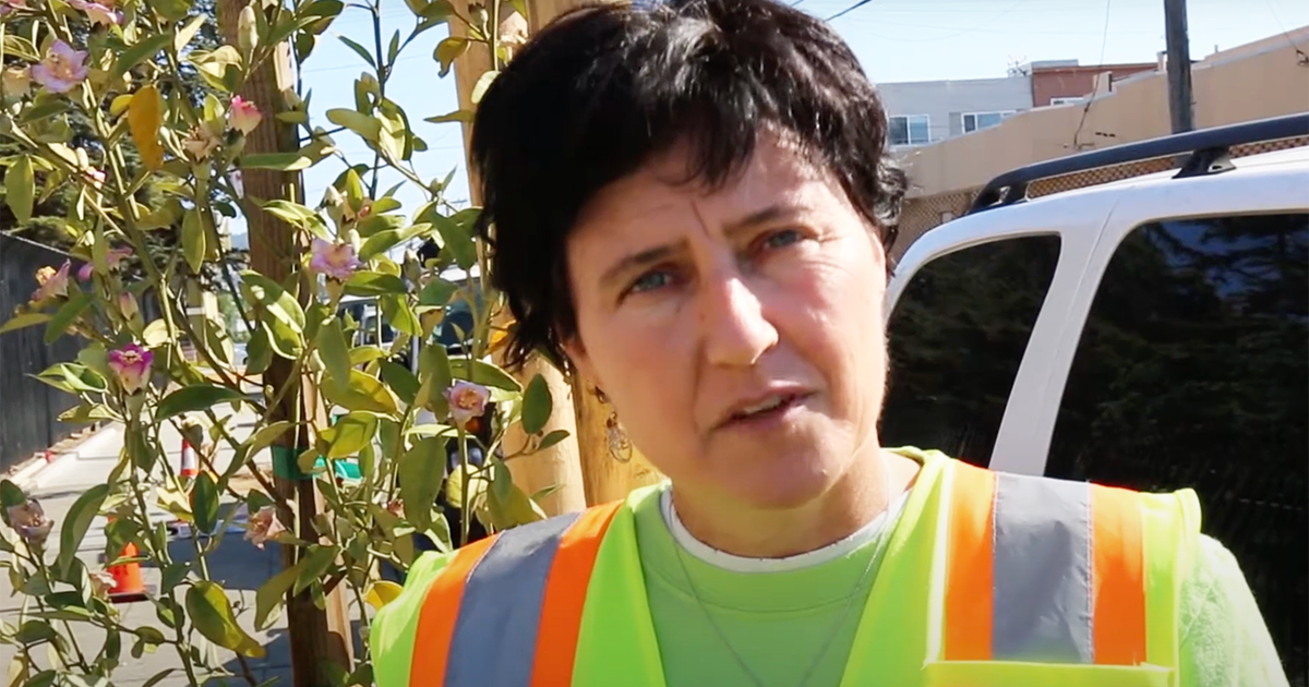 San Francisco Appoints New Public Works Interim Director - CBS San ...